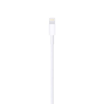 Câble APPLE USB-C vers Lightning - 1 mètre - BLANC - MQGJ2ZM/A
